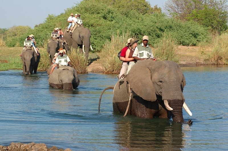 Safari Par Excellence - Elephant Back Safaris | Livingstone, Zambia